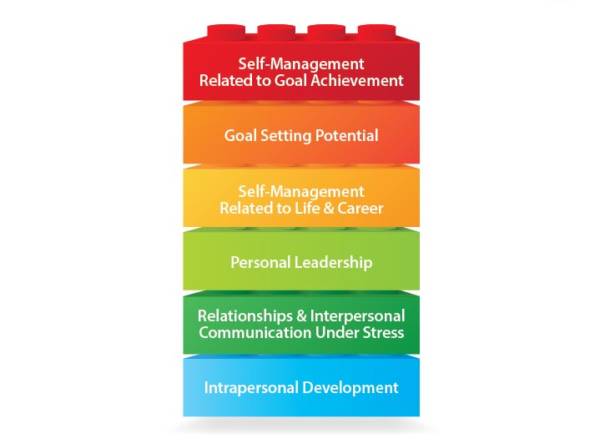 social-emotional-learning-theory - The Conover Company
